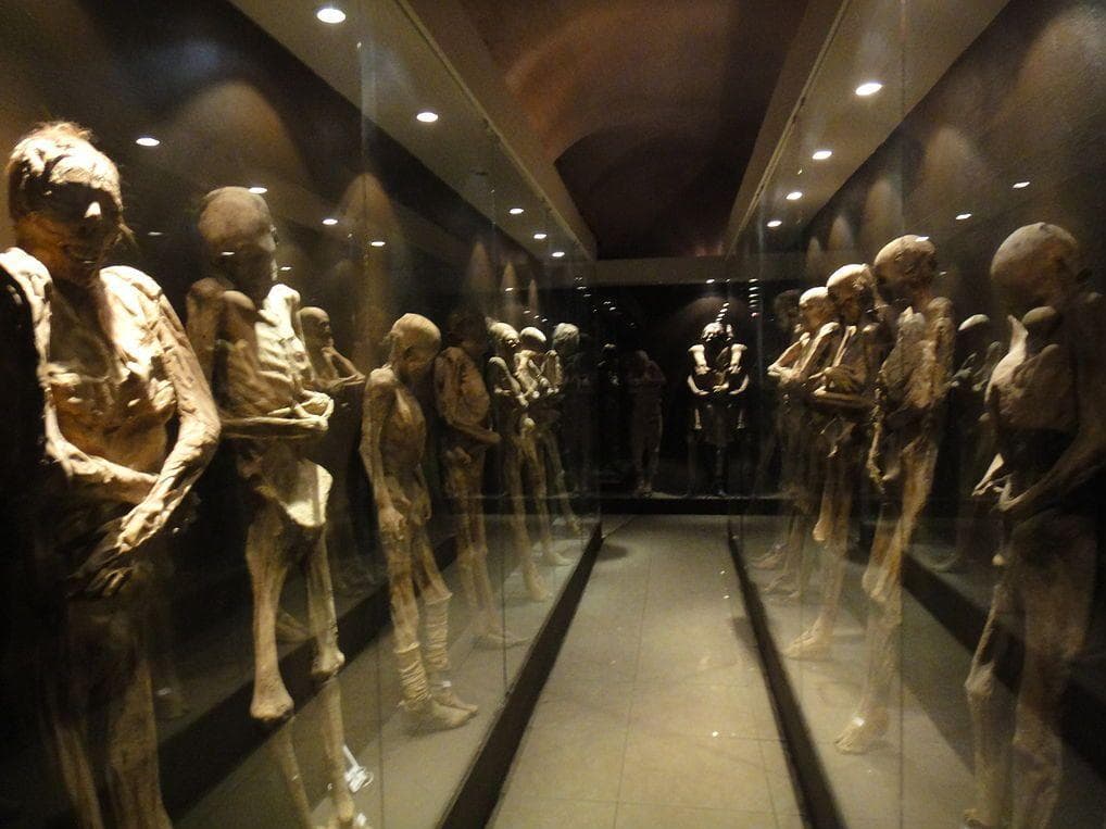 This Museum Has 111 Eerily Preserved 'Screaming Mummies'