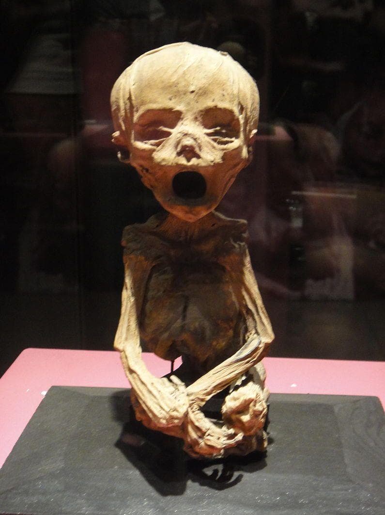 This Museum Has 111 Eerily Preserved 'Screaming Mummies'