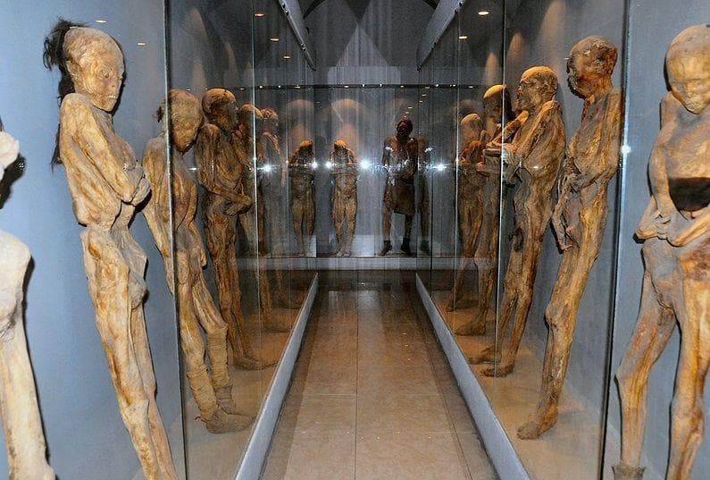 This Museum Has 111 Eerily Preserved 'Screaming Mummies'