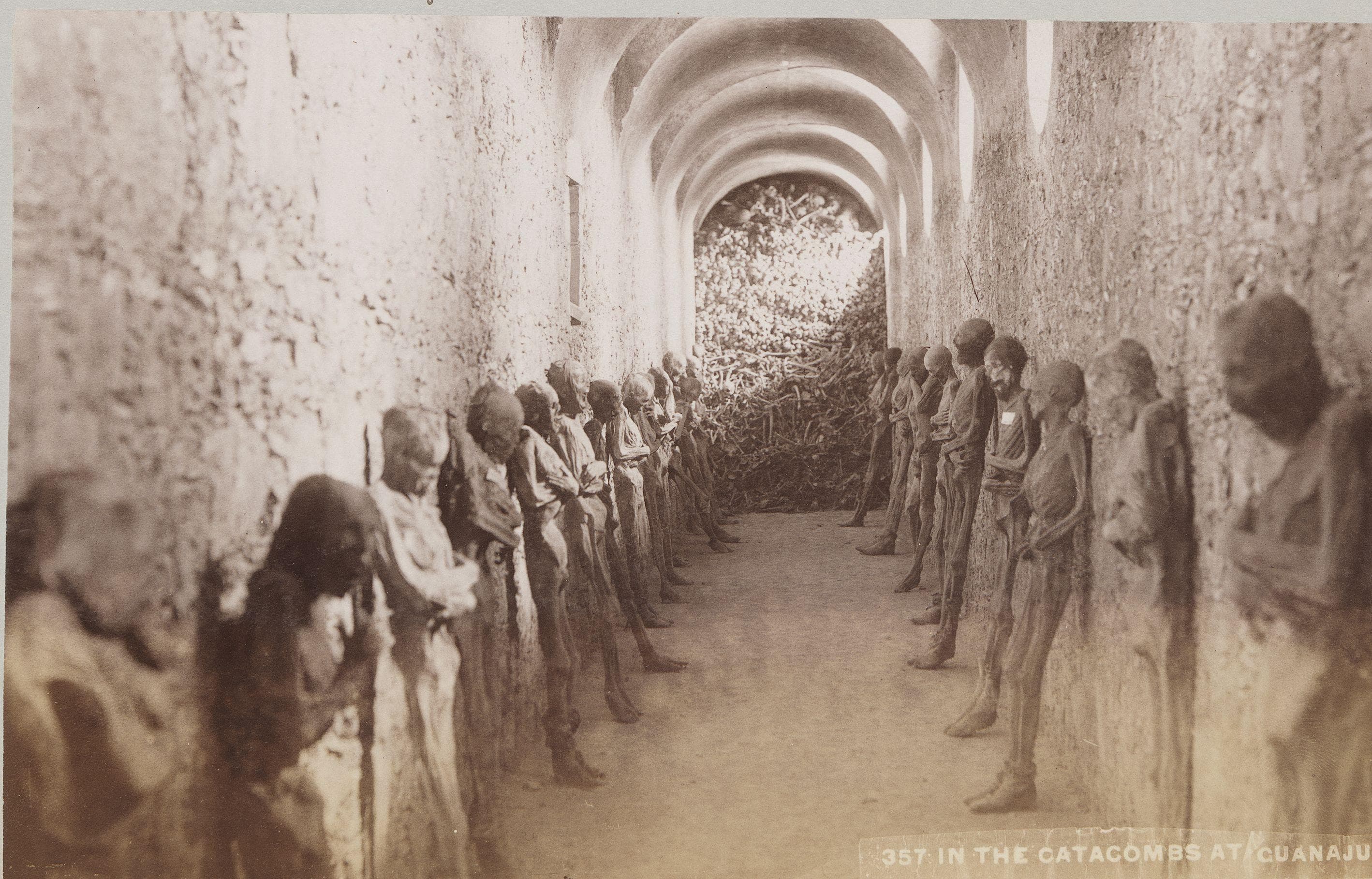 This Museum Has 111 Eerily Preserved 'Screaming Mummies'