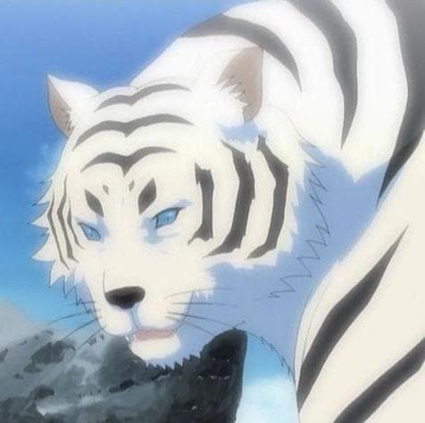 The 15+ Best Anime Tiger Characters