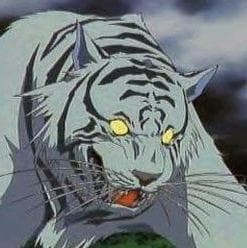 The 15+ Best Anime Tiger Characters