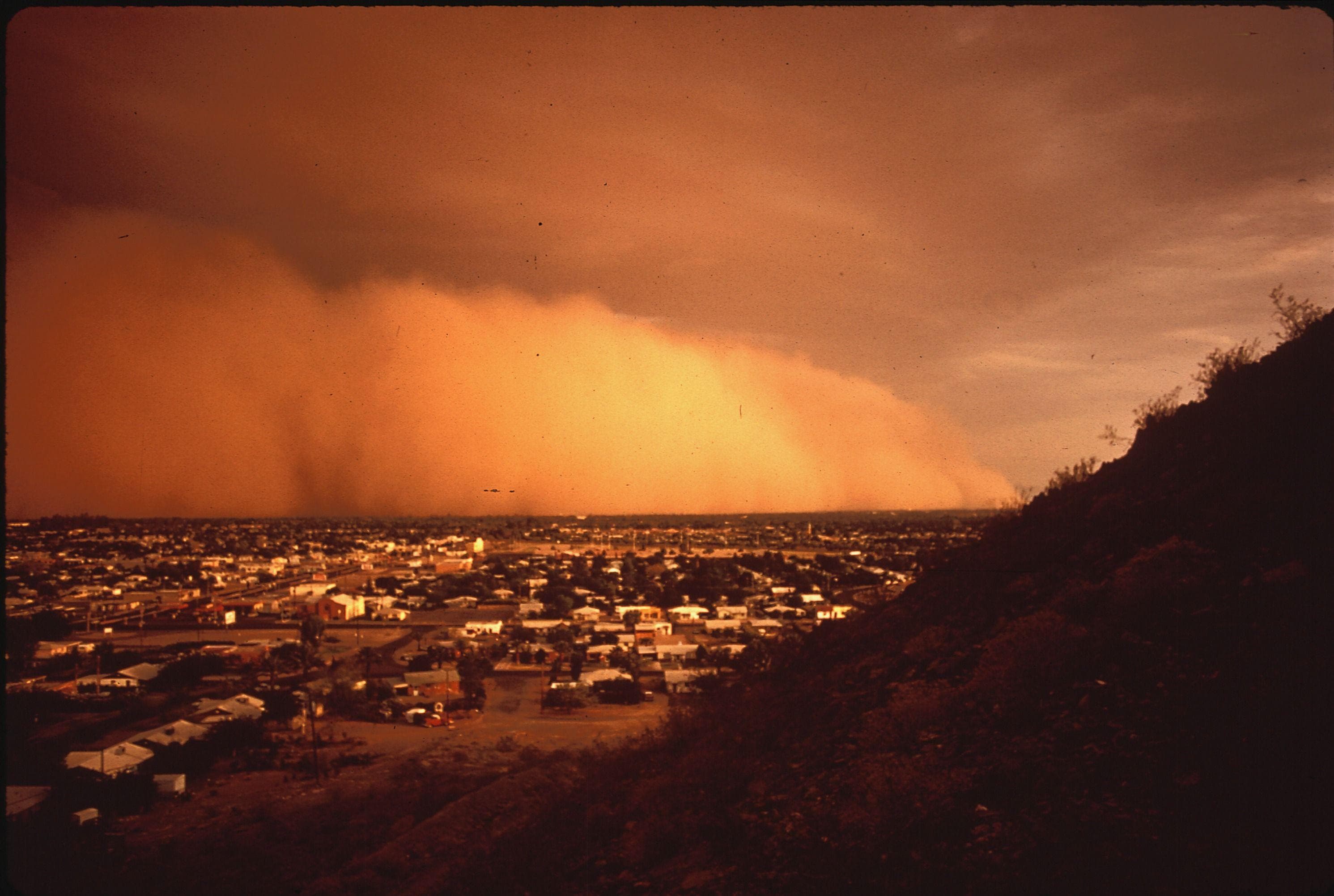 18 Scary Nature Pictures That Made You Say NOPE