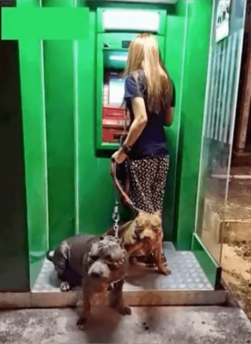 People Are Using Their Dogs As Guards When At The ATM And It's As Funny ...