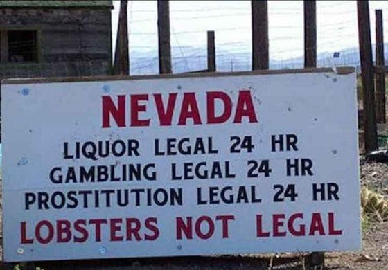 50 Hilarious Photos That Perfectly Describe Every American State