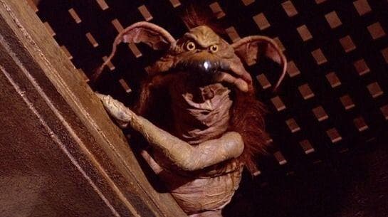 The 17 Cutest Creatures in the Star Wars Universe