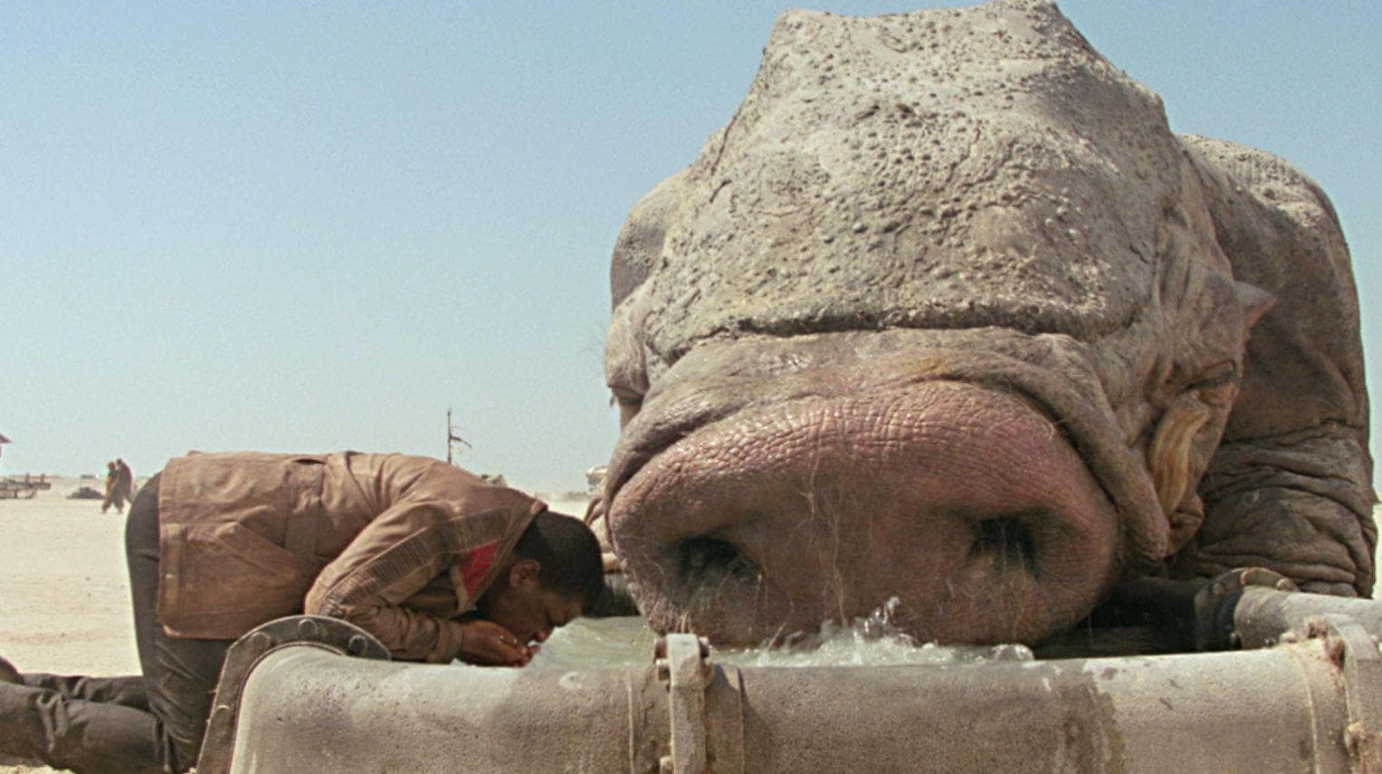 The 17 Cutest Creatures in the Star Wars Universe