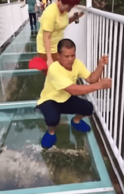 This Terrifying Glass Bridge Leaves Tourists Fearing For Their Lives As ...