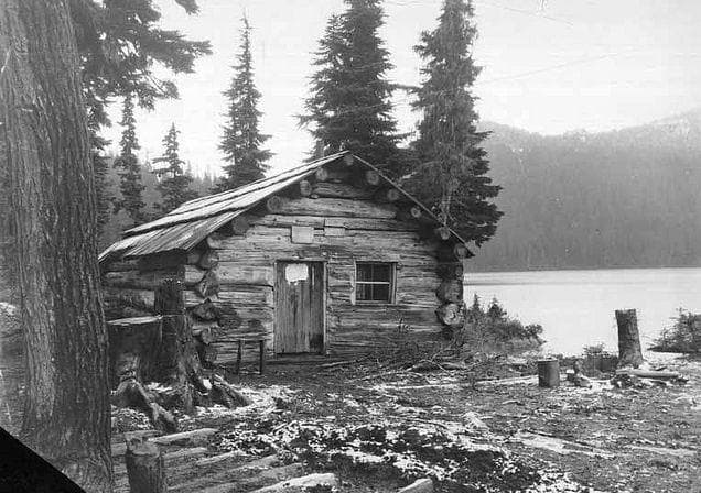 The Incredible Survival Story of David Steeves