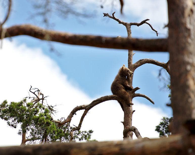 11 Easy Ways To Prove The Earth Is Round Without Leaving the Planet