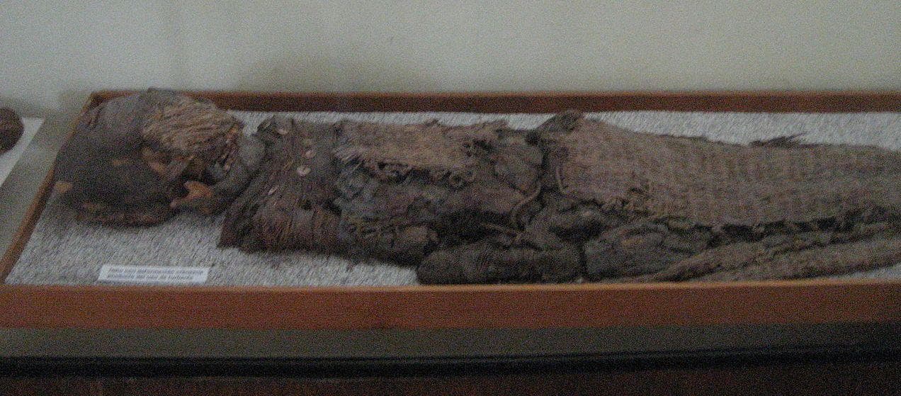 The Gnarly History of How Embalming Came To Dominate The Dead