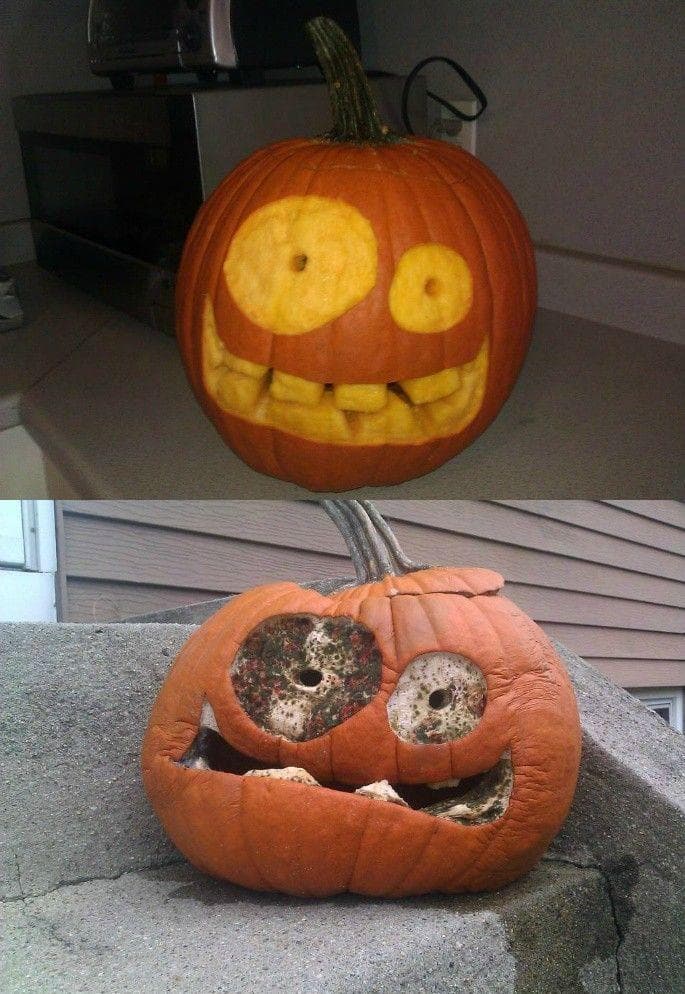 15 Shockingly Inappropriate Pumpkin Carvings That'll Make You Laugh