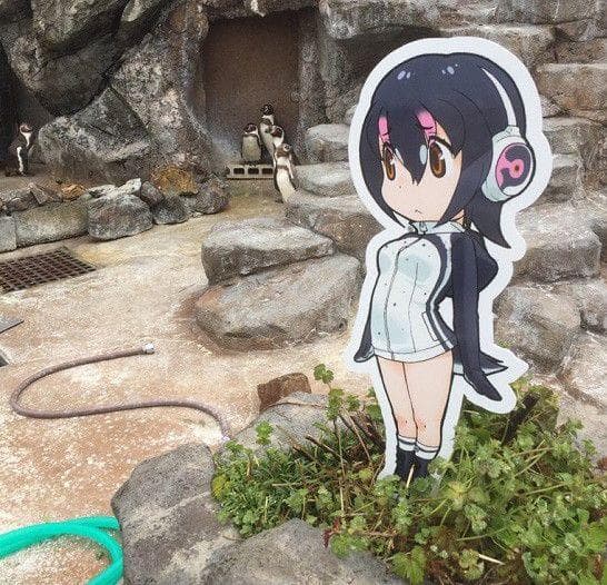 The Sweet And Tragic Tale Of Grape-Kun The Penguin