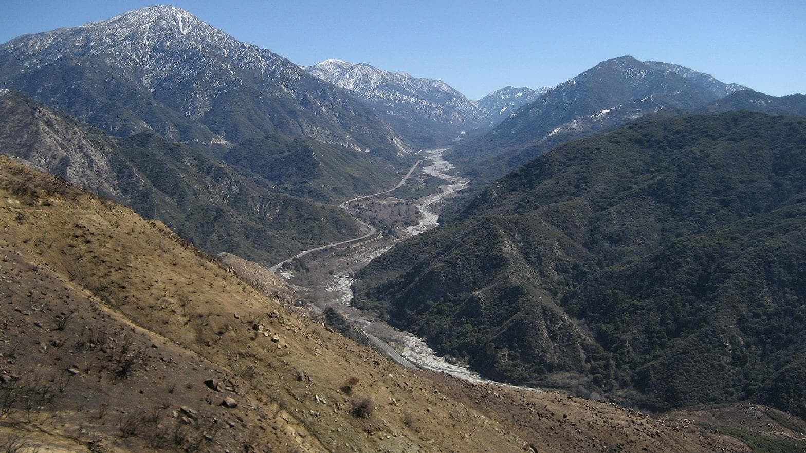 The Tragic Story Of Jessica Widner, Who Was Buried Alive