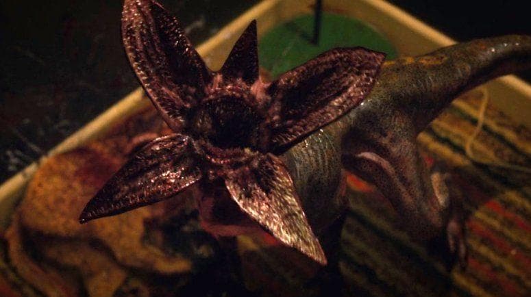 14 Intriguing Fan Theories About Stranger Things Season 2