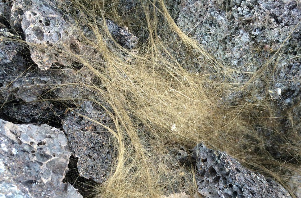 Creepy Legends And Myths From History That Science Actually Confirmed