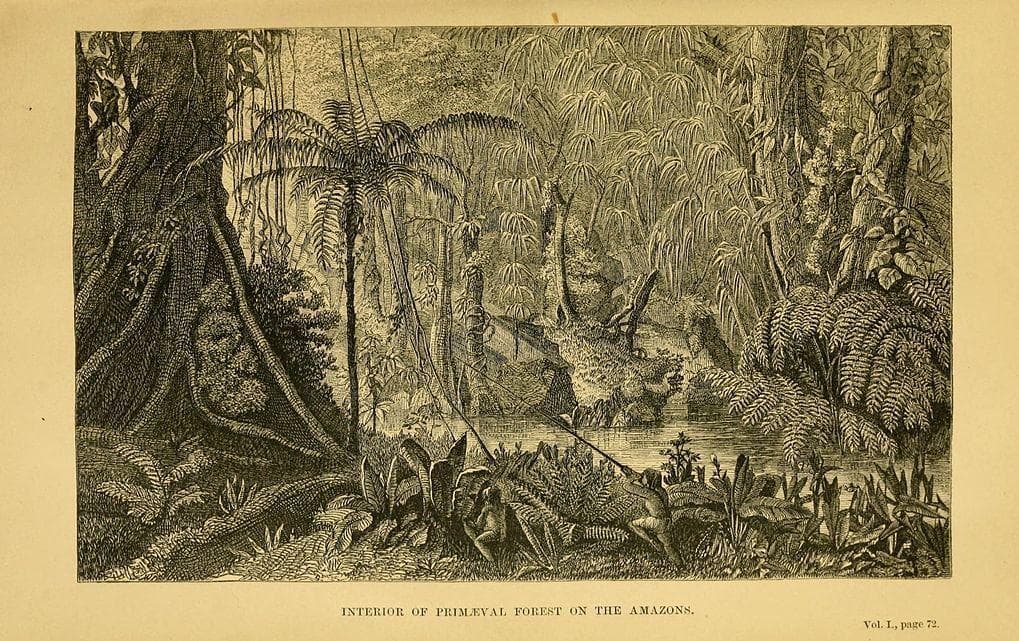 The Insane True Story of Isabel Godin des Odonais