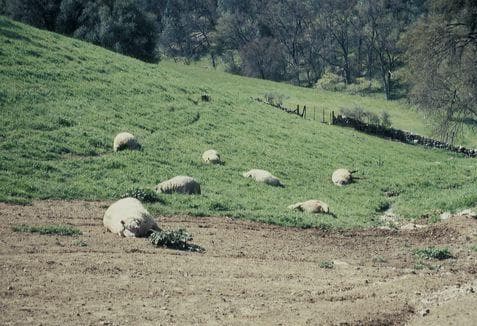 Creepy Facts And Legends About Dugway, The Government's Secret "Area 52"