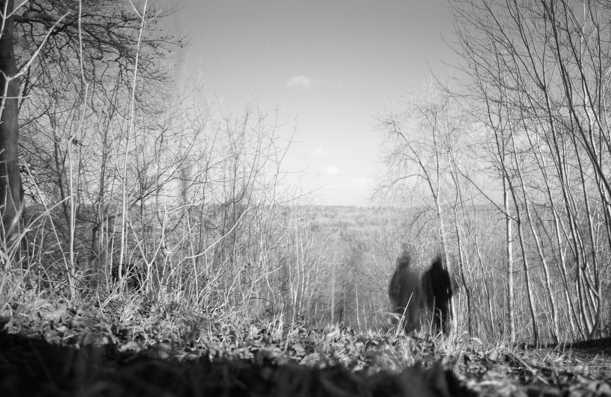 A Guide To The Different Classes Of Shadow People Haunting You In The Dark