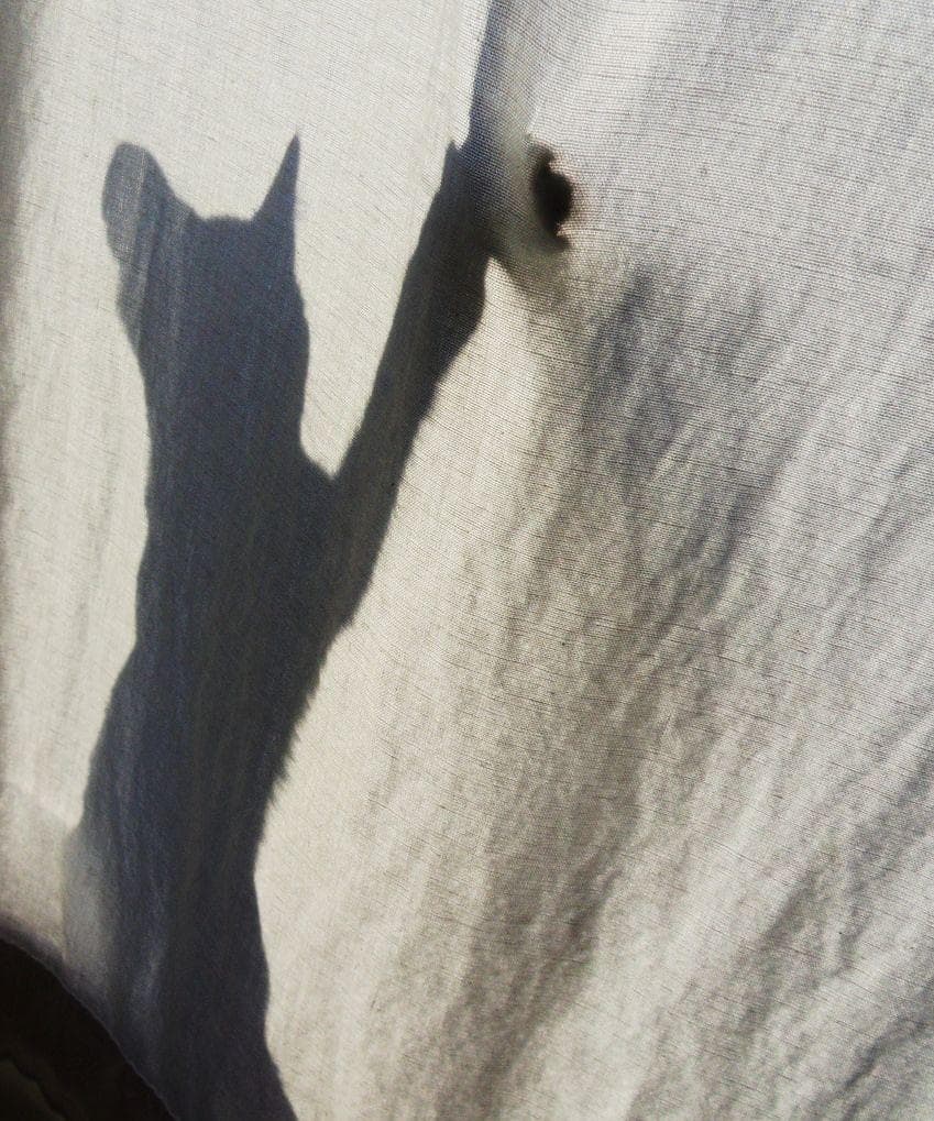 A Guide To The Different Classes Of Shadow People Haunting You In The Dark