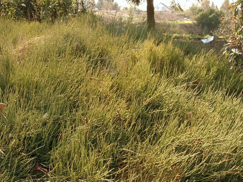 A Brief History Behind the Explosive Popularity of Crystal Meth