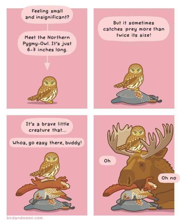 24 Hilarious Comics About Nature That Will Make You Smile