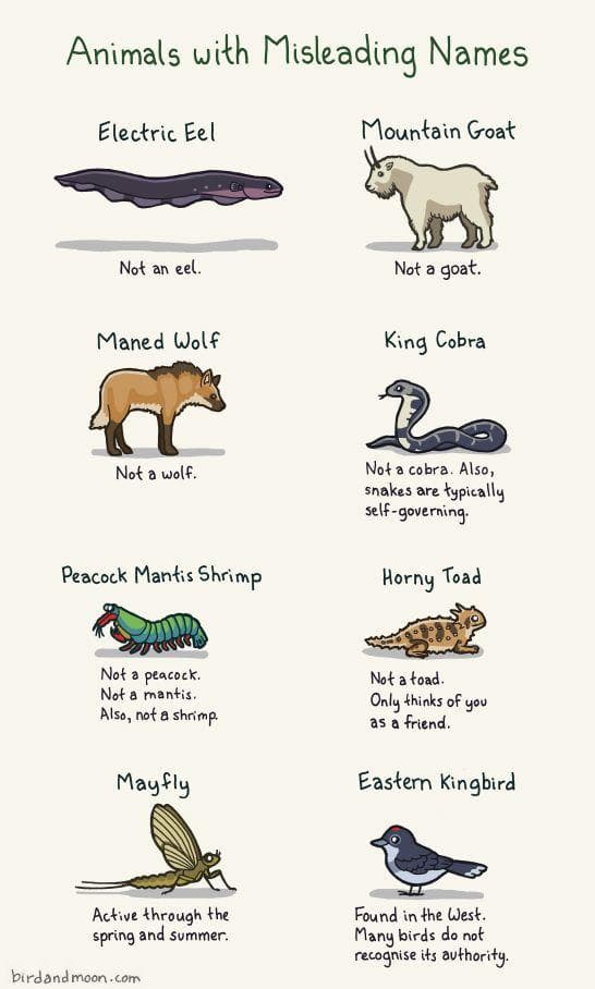 24 Hilarious Comics About Nature That Will Make You Smile