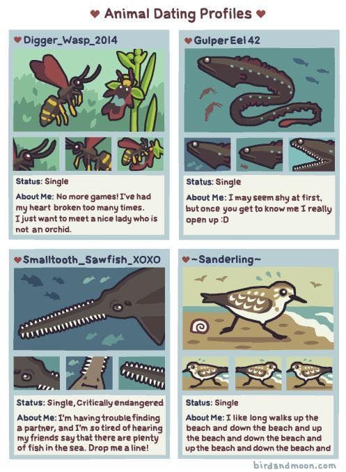 24 Hilarious Comics About Nature That Will Make You Smile