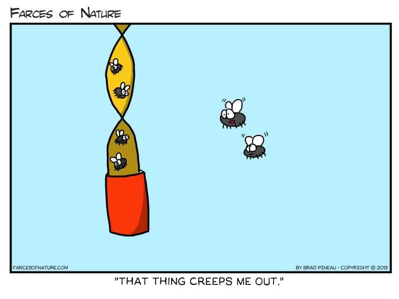 24 Hilarious Comics About Nature That Will Make You Smile