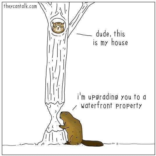 24 Hilarious Comics About Nature That Will Make You Smile