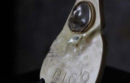 If You Can Handle It, This Museum Of The Occult Will Let You Hold Real ...