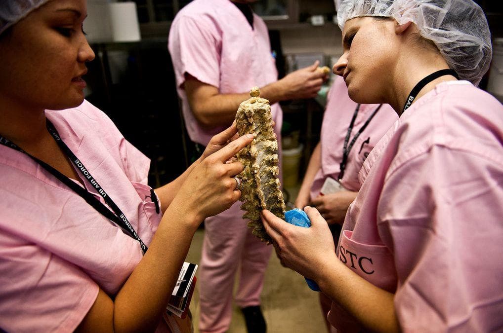 The Horrifying Story of Body Broker Arthur Rathburn