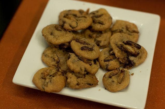 11 Wild Ways To Eat Bugs You Didn't Even Know About