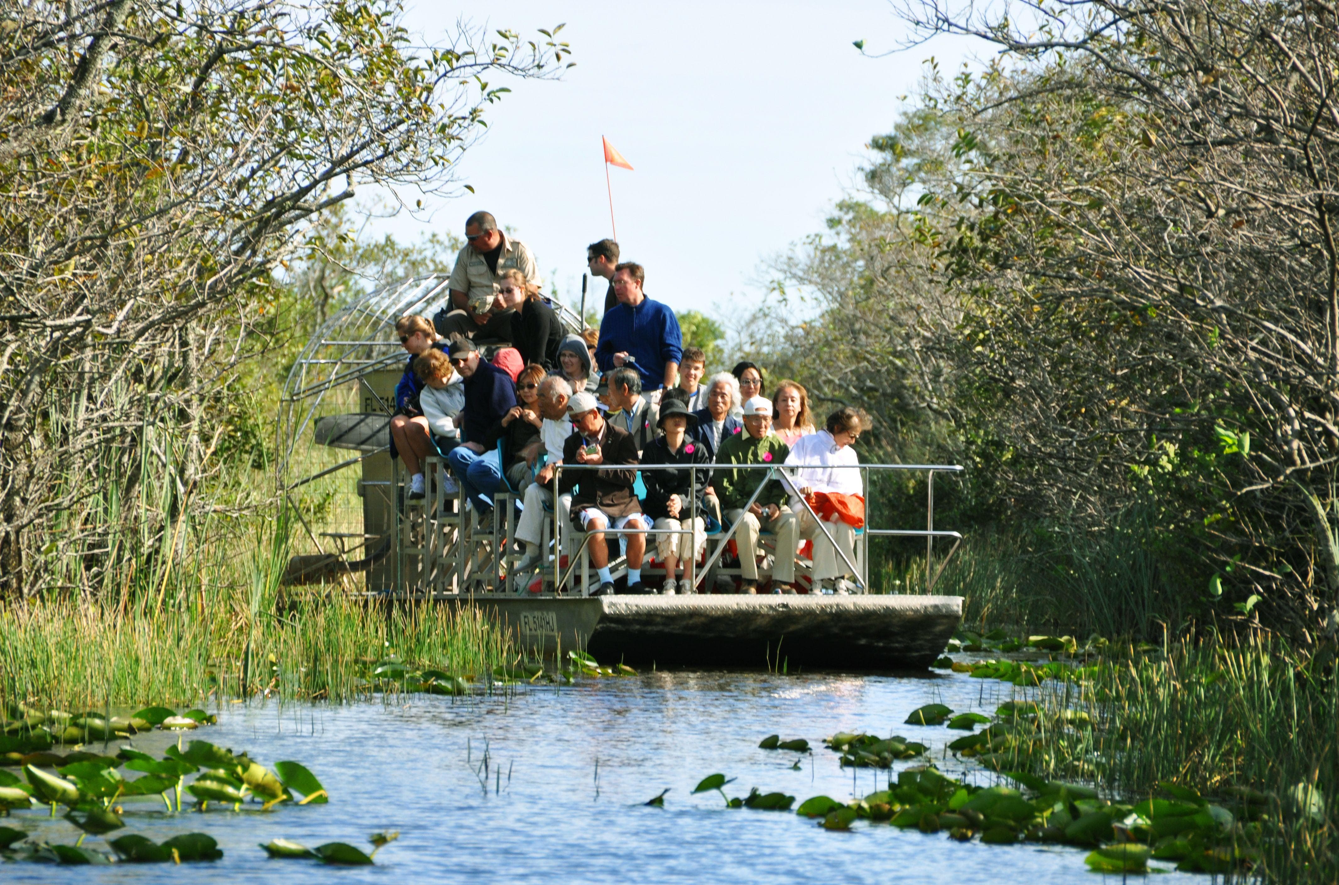 Thanks To Invasive Species, The Florida Everglades Are Getting A Whole ...