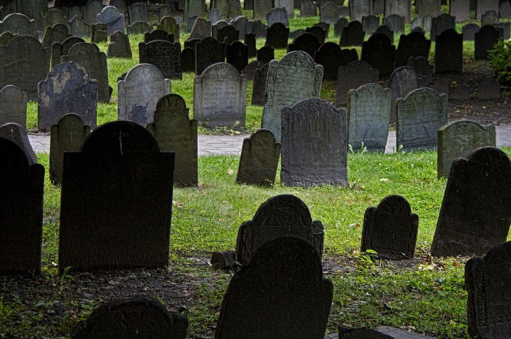 A Complex Network of Mass Graves Has Been Uncovered Under A Medieval ...