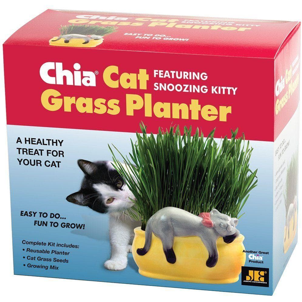 20 Newer Chia Pets You'll Actually Want to Buy