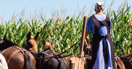 Being Excommunicated From Amish Society Is A Cold, Brutal, And ...