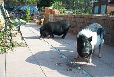 Life Post-Weasley: Everything Rupert Grint Has Been Up To Since Harry ...