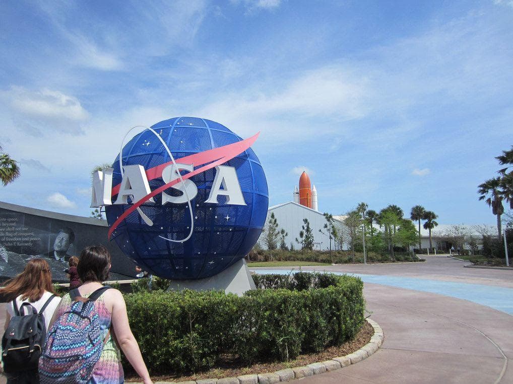 NASA Decided To See What Would Happen To Spiders In Space, And The ...