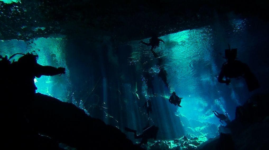 Cenotes Are A Natural Wonder And They're Creepy As Hell
