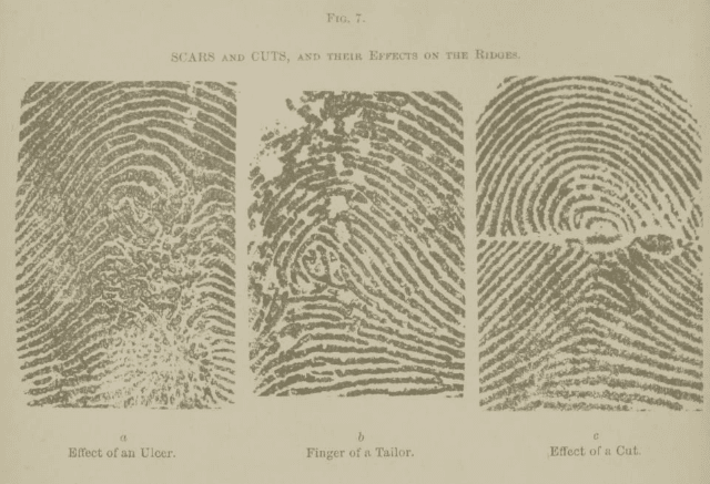Fascinating Victorian Attempts At Forensic Investigation