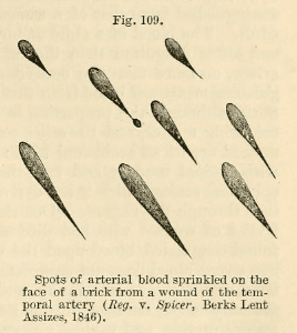 Fascinating Victorian Attempts At Forensic Investigation