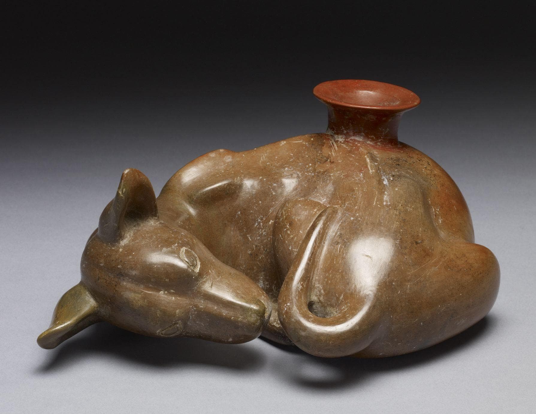 10 Cool Facts About Xolos - The Dog From Disney's 'Coco'