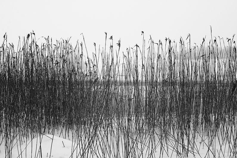 Scholars May Have Actually Found Proof That Moses Parted The Red Sea