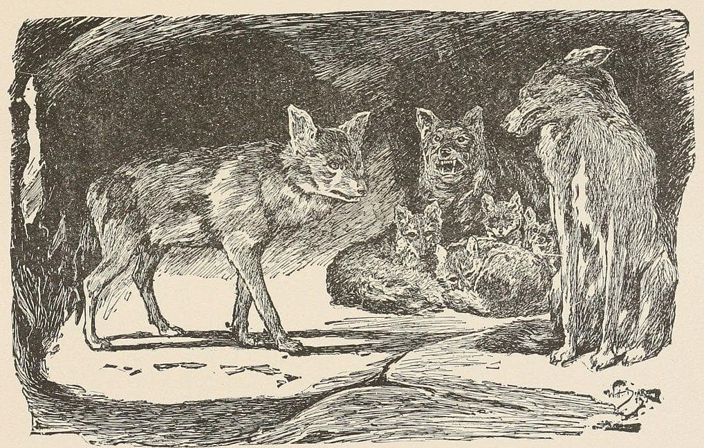 Villagers Thought They Were Demons... Until One Man realized They Were ...