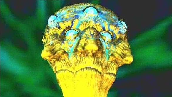 List of All Devil May Cry 2 Bosses Ranked Best to Worst