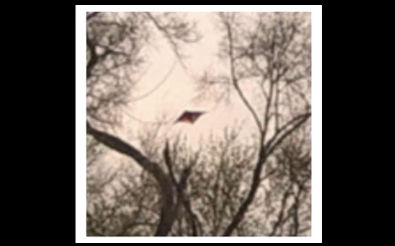 Do These Photos Prove The Legendary Mothman Is More Than Just A Legend?