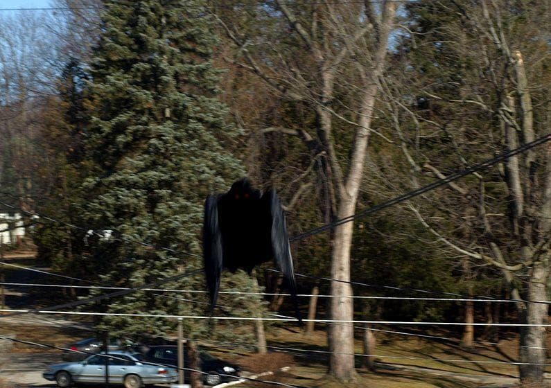 Do These Photos Prove The Legendary Mothman Is More Than Just A Legend?