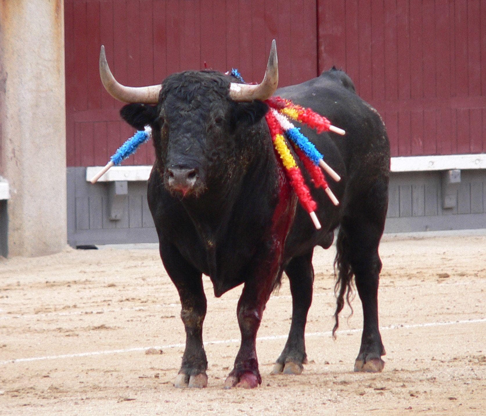 11 Gross Animal Traditions Around The World That Will Make You Sick