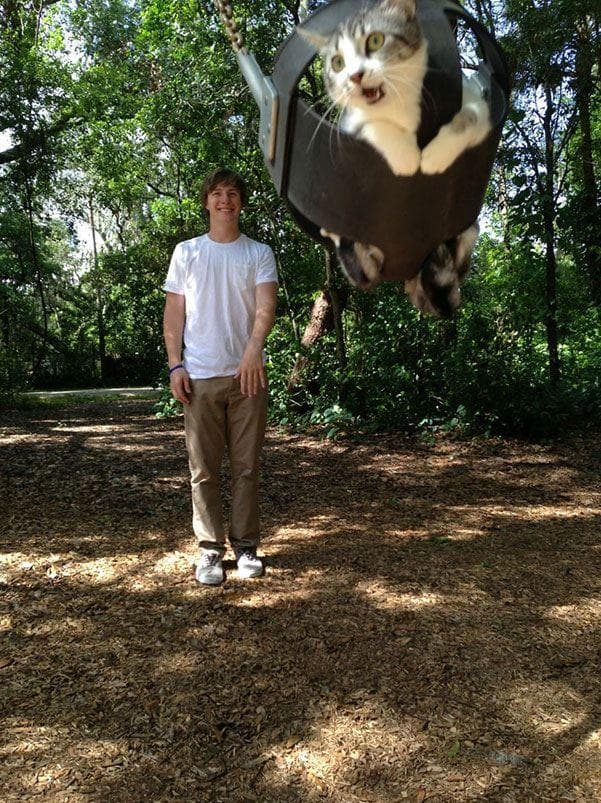 15+ Pictures Of Cats That Almost Definitely Regret Everything